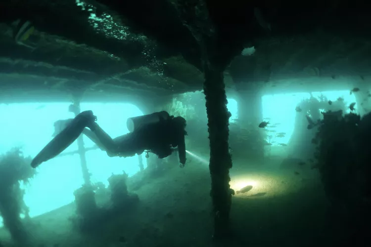 Explore Oman’s Hidden Underwater History with Wreck Dive Trips in ...